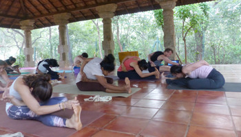 Ashtanga Yoga – Mysore Style – Holistic